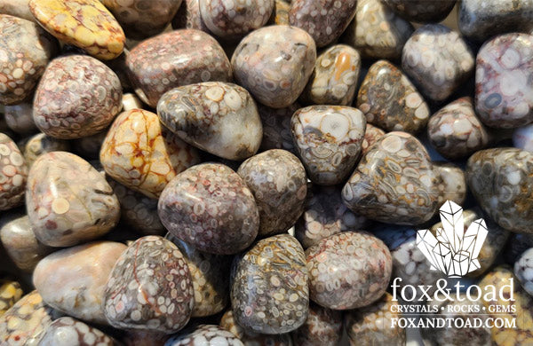 White Leopard Skin Jasper Tumbled Stones – fox&toad