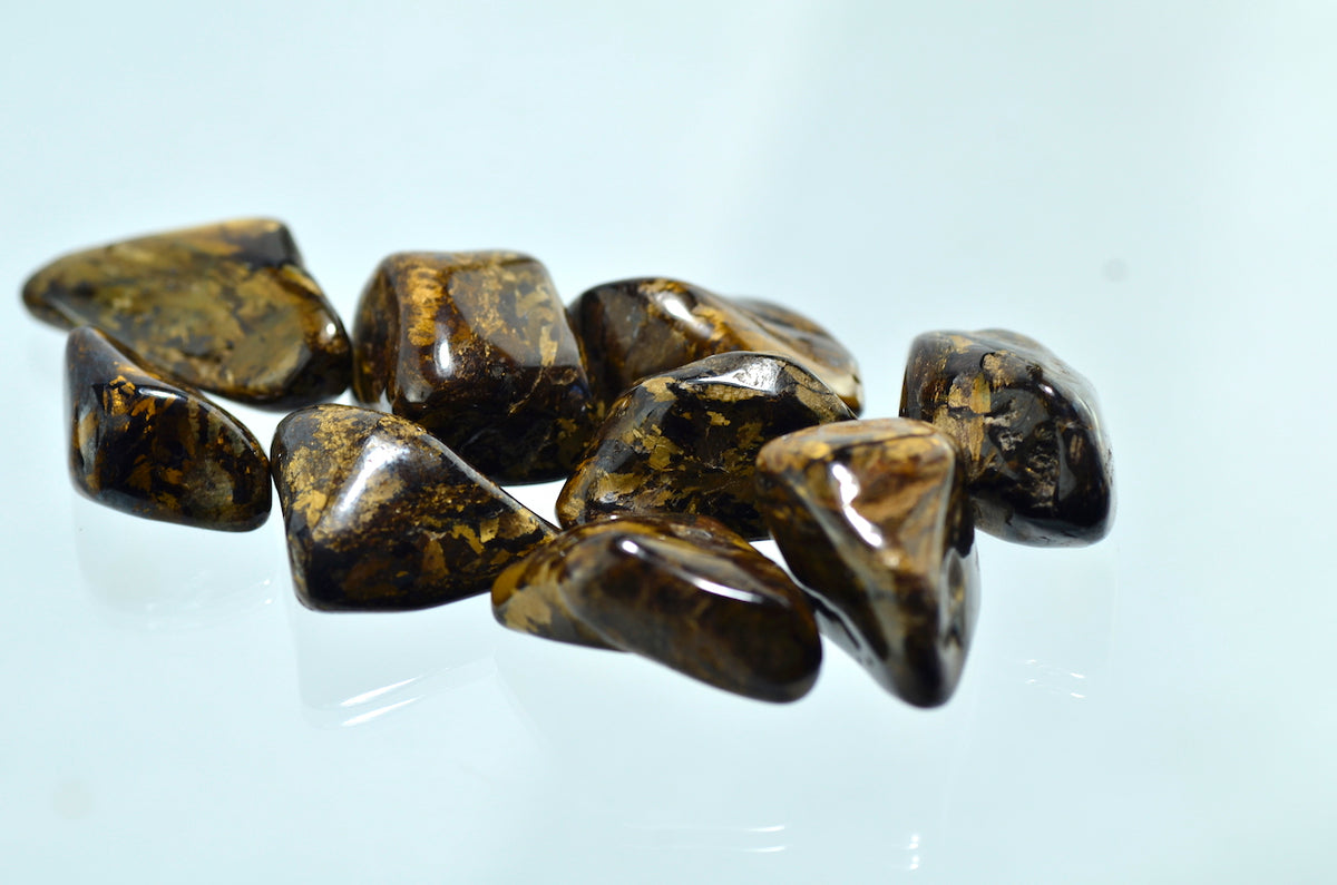 Bronzite Tumbled Stones – fox&toad