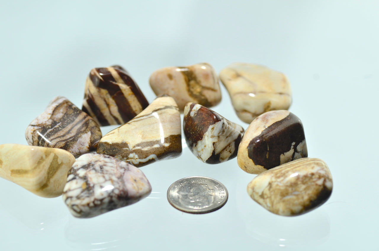 Jasper, Zebra (Brown) Tumbled Stones – fox&toad